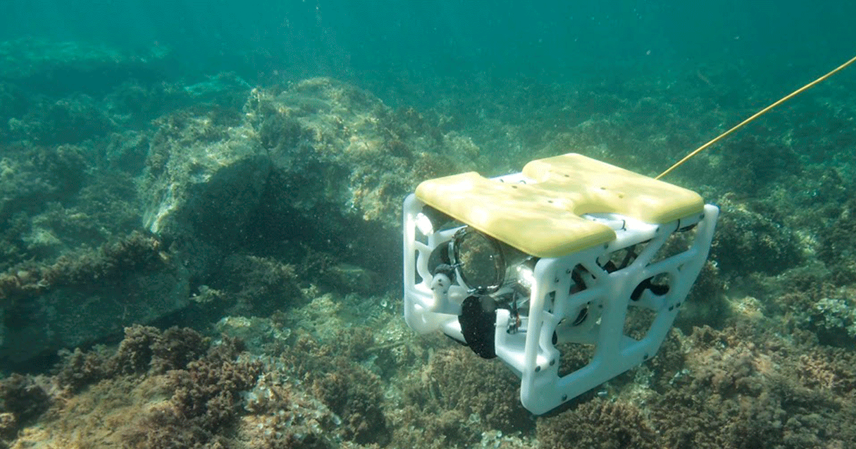 Un nano robot submarino profesional al alcance de cualquier bolsillo ...